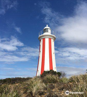 2021德文波特旅游攻略,7月德文波特(Devonport)(德文港)自助游/自驾/出游/自由行/游玩攻略【携程攻略】